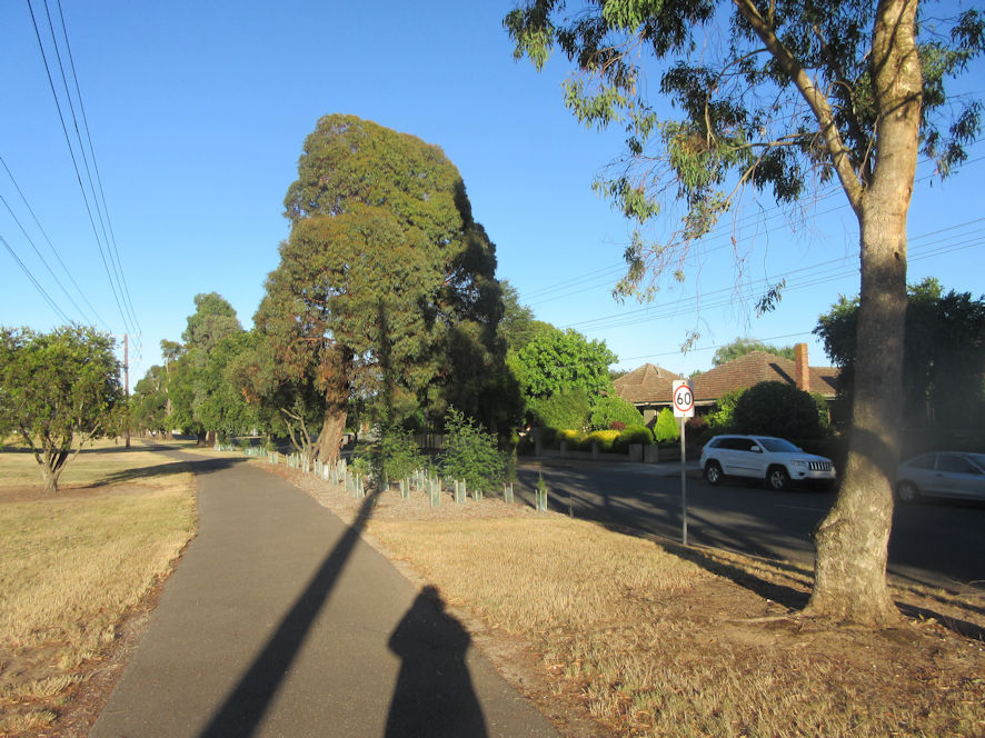 Scott Parade Walk – Leigh Edmonds little box of stuff