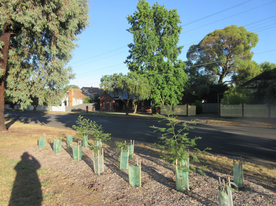 Scott Parade Walk – Leigh Edmonds little box of stuff