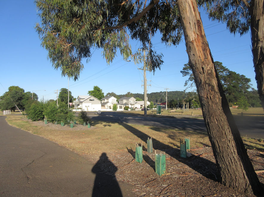 Scott Parade Walk – Leigh Edmonds little box of stuff