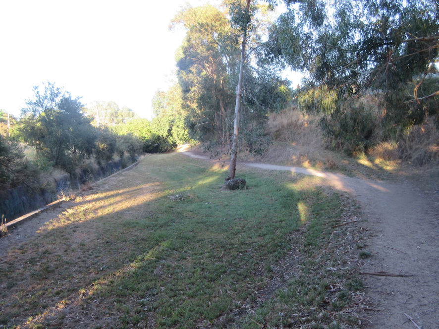 Specimen Vale Creek and Warrenheip Gully Walk – Leigh Edmonds little ...